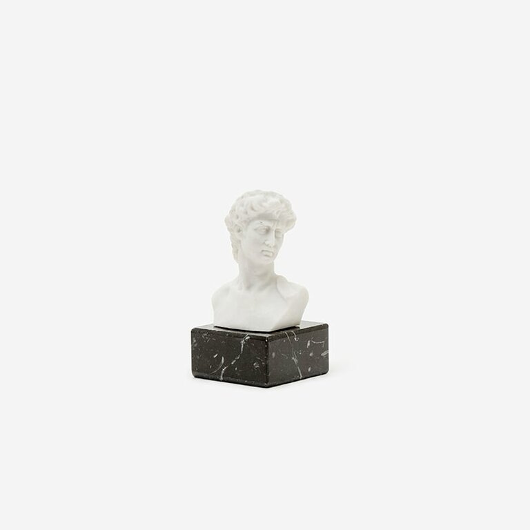 David Bust - Marble Base | Shop Online | BeCulture