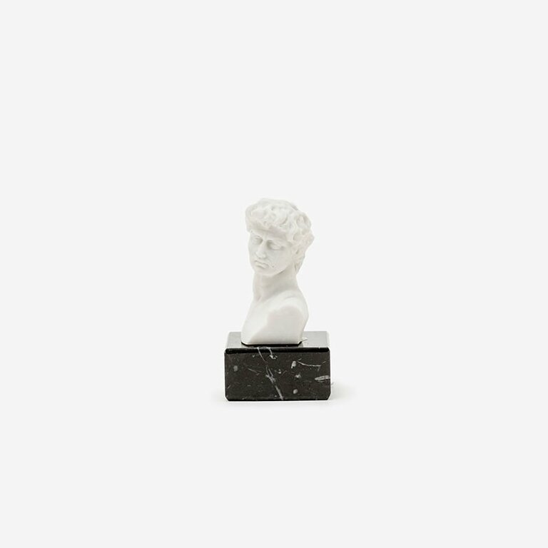 David Bust - Marble Base | Shop Online | BeCulture