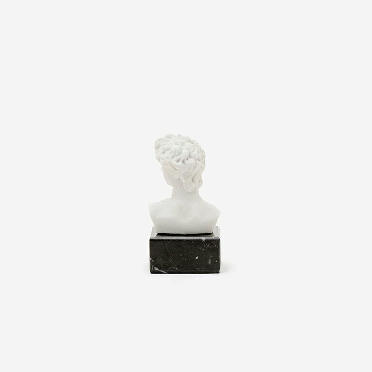 David Bust - Marble Base | Shop Online | BeCulture